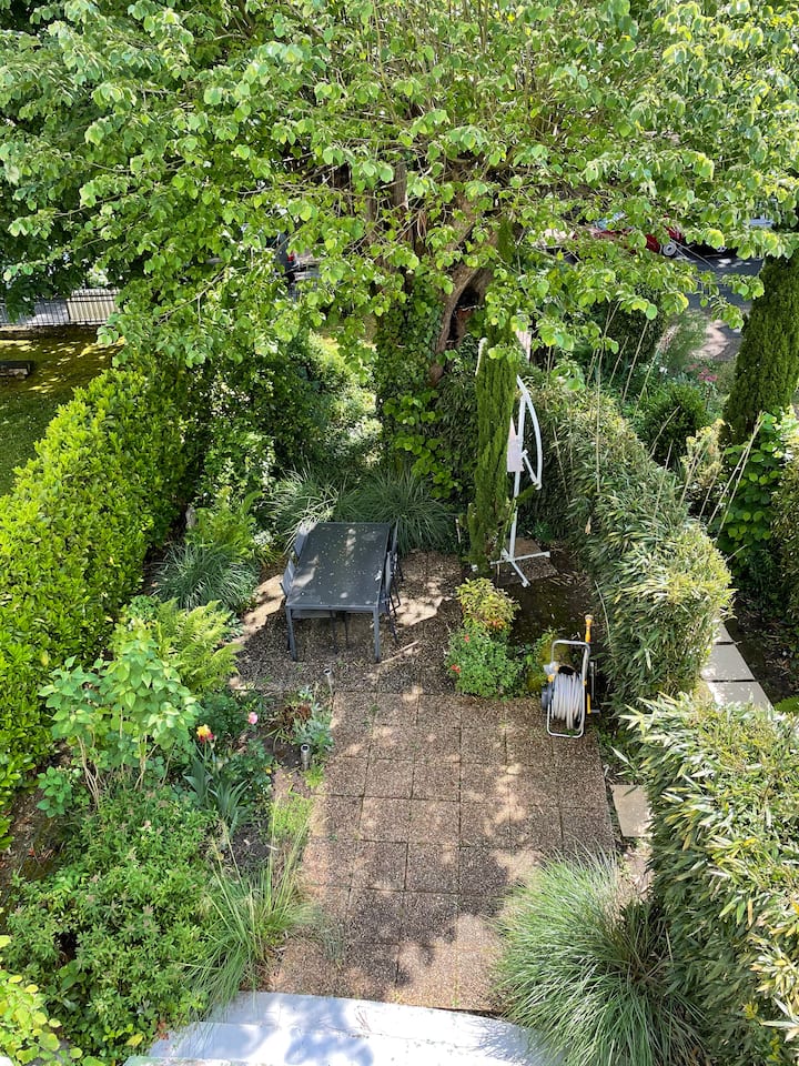 ÉCrin De Verdure En Pleine Ville - Dax