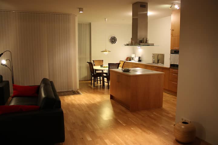 Modern Seaside Apartment - Islande