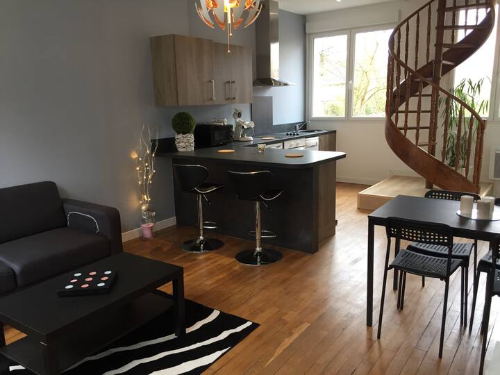 Gîte L'alnilia 2 - Romilly-sur-Seine