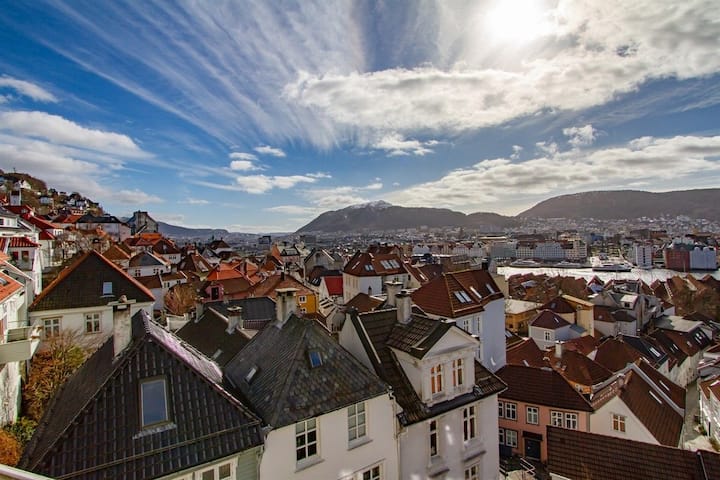 Leilighet Med 3 Soverom I Bergen Sentrum - Bergen