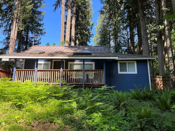 Cozy Salmon River Cabin - Oregon
