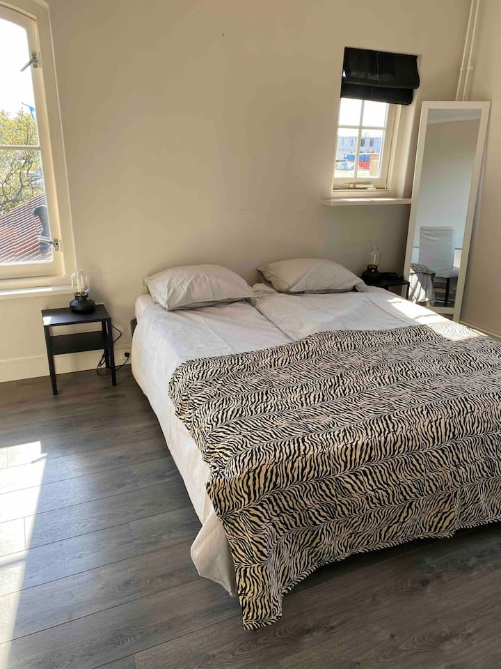 Rm 01 Large Room, With Private Bathrooms,parking - The Hague