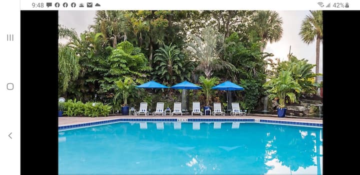 Park Shore Resort  Is In The Hart Of Naples - Naples, FL