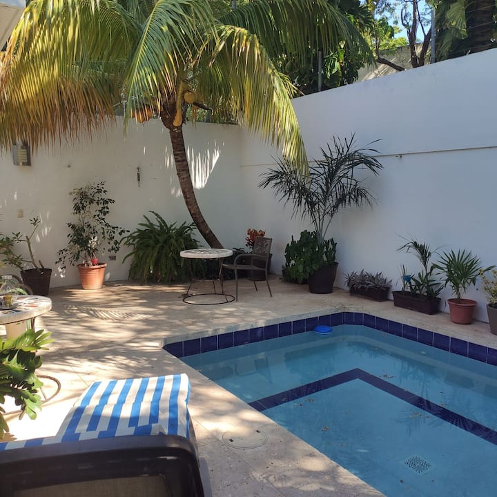 La Casa De Las Palmas  Céntrica Con Alberca - Cancún