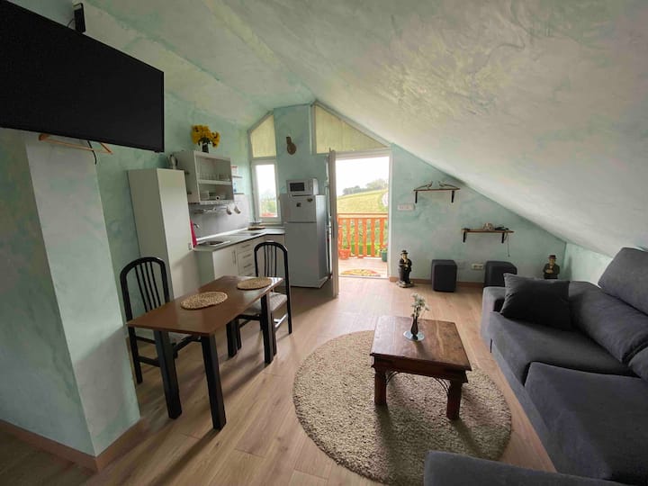 Apartamento En áTico Para 2 Personas - Santander