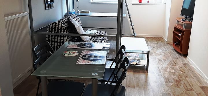 Logement Strasbourg à Deux Pas De L'hypercentre - Hôpital de Hautepierre