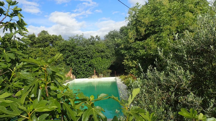 Roulotte Bohème Tout Confort Calme Et Nature - Grignan
