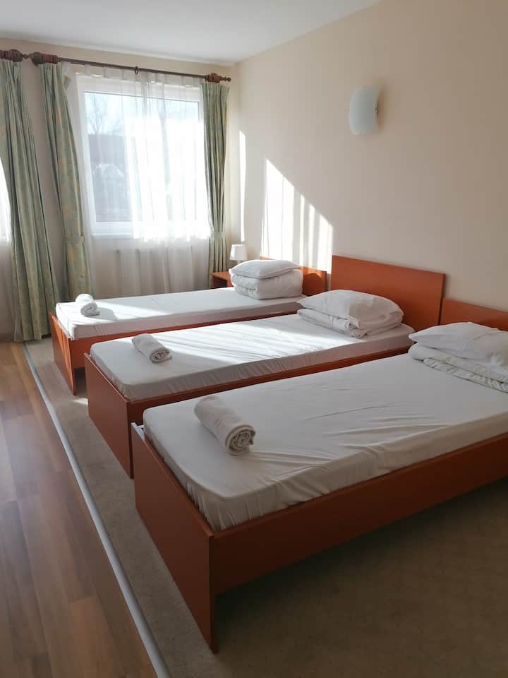 Hotel Ferihegy Triple Room Near The Airport - Budapest