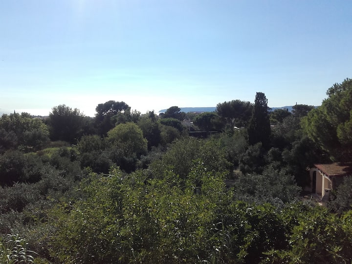 Terrasse Vue Mer 14e Ste Marthe, St Jérôme T2/3 - Marsiglia