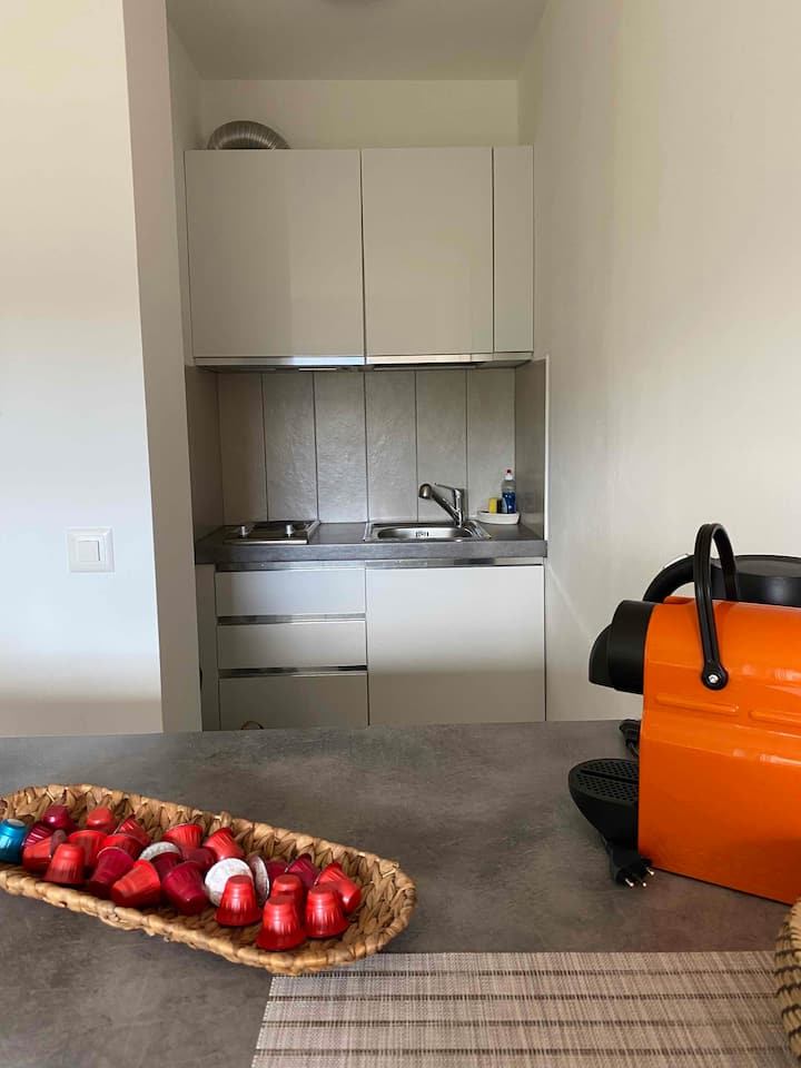 Bijou-studio Mit Pool, Garten & Traumaussicht - Lugano