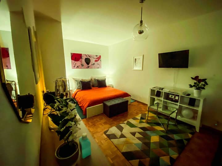 Jolie Cosy/stylish Flat Au Centre. - Geneva
