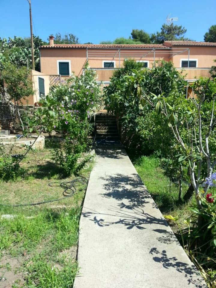 Monolocale Centrale Con Giardino - La Maddalena