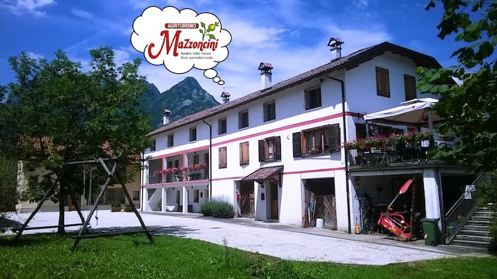 Agriturismo Mazzoncini - Belluno