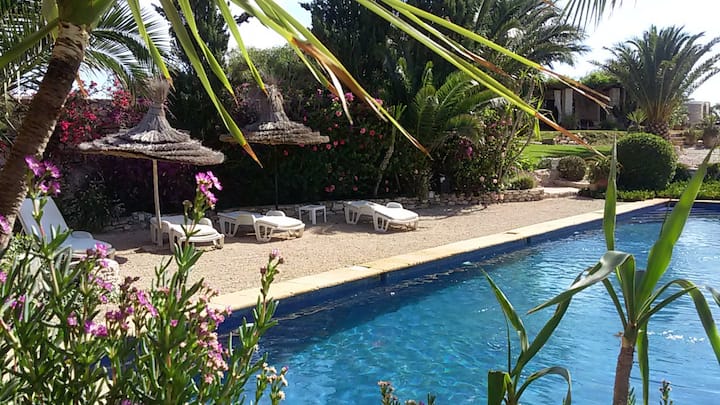 Le Caroubier - Maroc