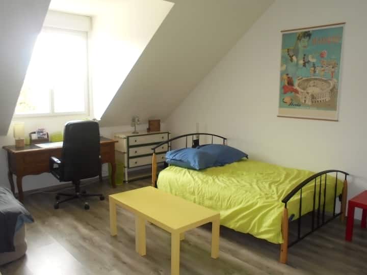 Grande Chambre Dans Maison Entièrement Rénovée - Auxerre