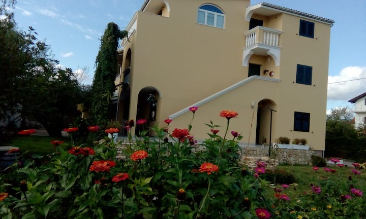 Apartments Meri & Josip / A3  Vodice Croatia - Vodice
