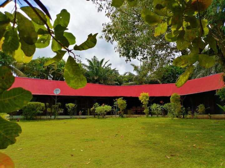 Villa Les Orchidées Chez Ago - Madagascar