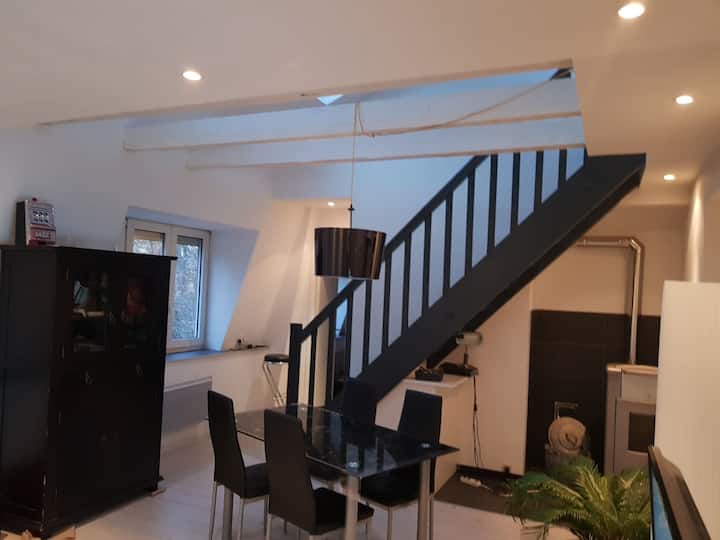 Joli Duplex Tout Confort Proche Gare Centre Ville - Mulhouse