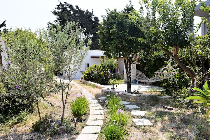 Atelie In The Olive Grove - Kos