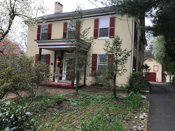 Fireplace Rm: Full Priv Bathrm, 1 Q Bed,ac/tv/wifi - New Hope, PA