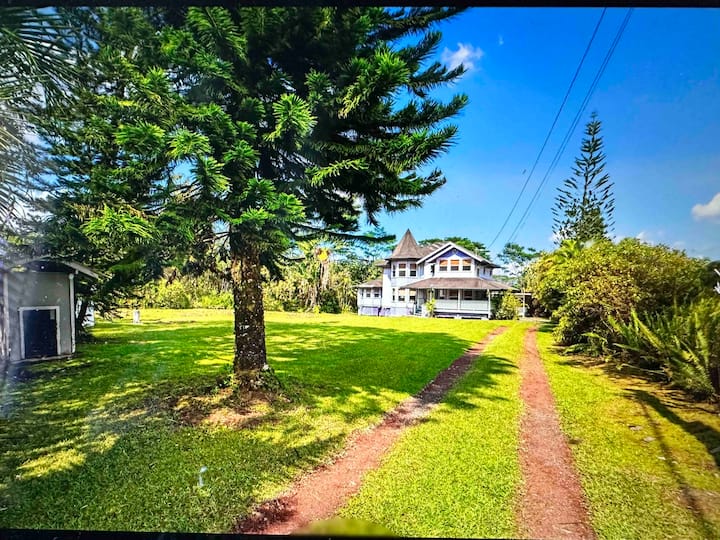 Tropical Private Detached Studio Guest House - Keaau, HI