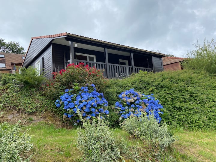 Charmant Chalet Avec Piscine, Vue Lac Et Golf - Vire