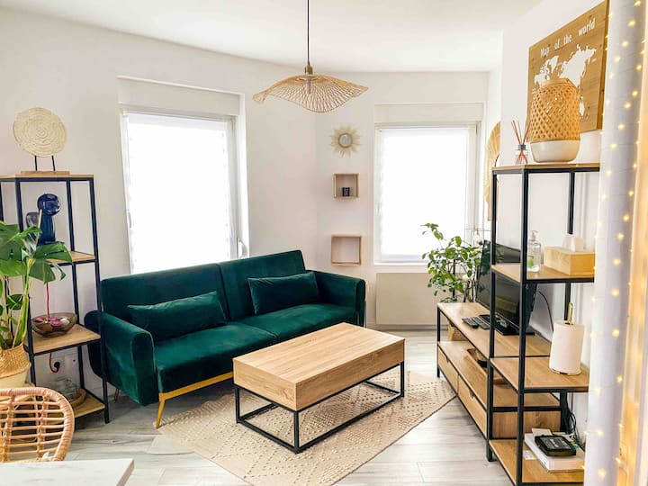 Joli Appartement  Entièrement éQuipé - Bischheim