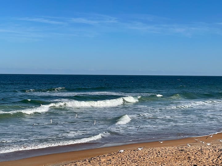 Spacious 3/2 Beachside Family Home 6 Lots To Beach - Ormond Beach, FL