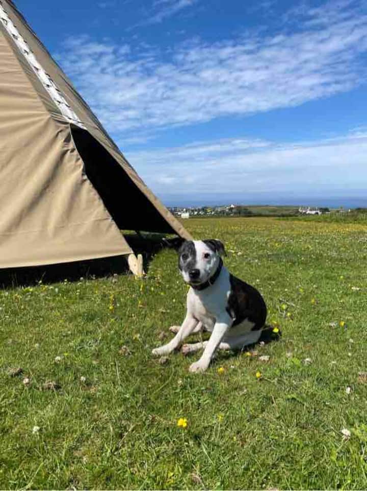 Sea Tipi - Sleeps Up To 8 - Pendeen