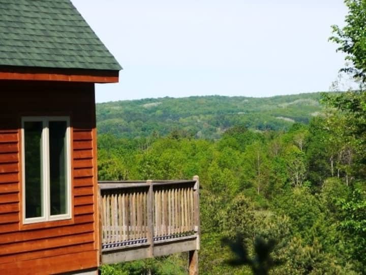 Bellaire Chalet - Torch Lake, MI