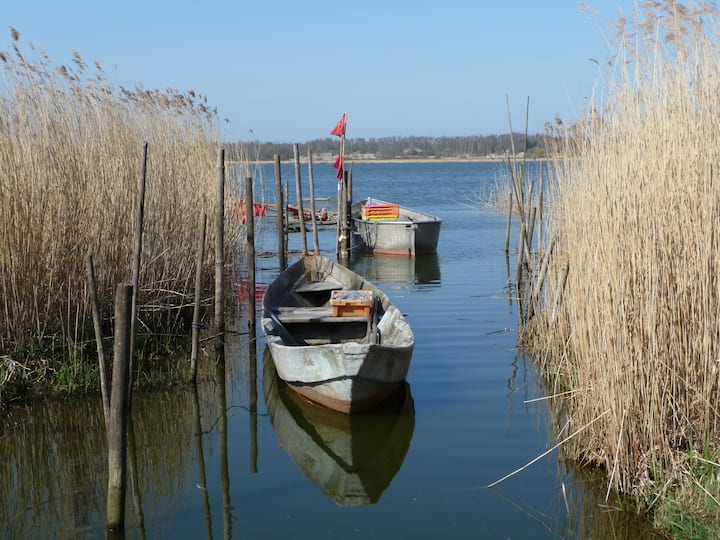 Schöne Ferien In Ribnitz-damgarten - Ribnitz-Damgarten