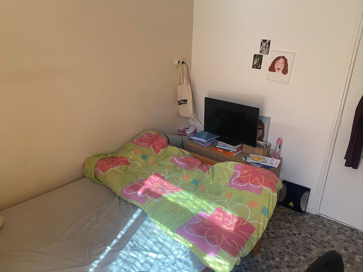 Studenten Kamer Met Tv En Pc. - Zélande