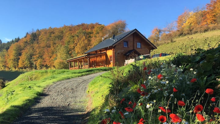 Huis Met Veranda In Het Sauerland, Willingen - Diemelsee