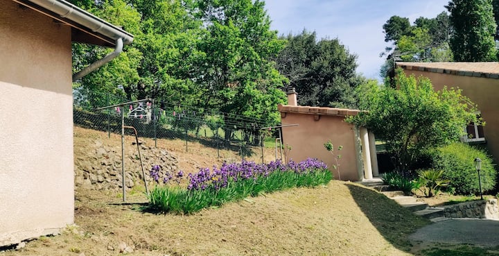 🌴 Le Gîte Des Palmiers 🌴 - Vals-les-Bains