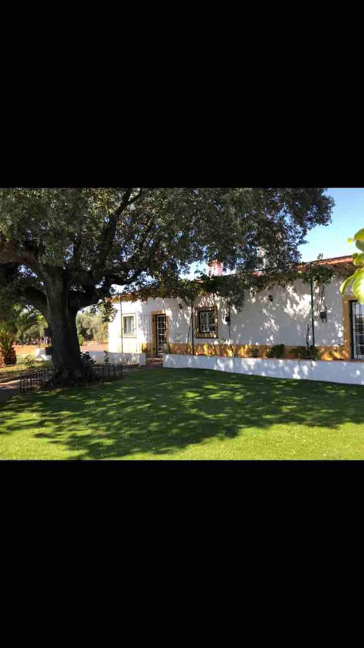 Quinta Da Horta Nova - Elvas