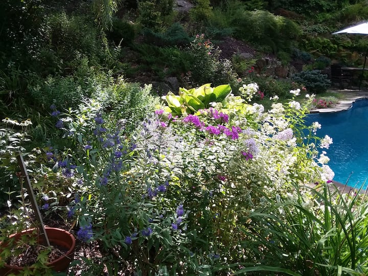 Gorgeous Garden And Pool With Sunset Views! - Brewster, NY