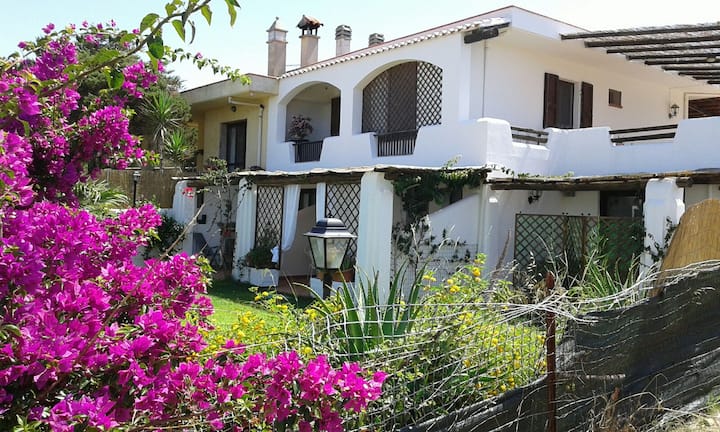 Villa Tulipano, Affitto A Stintino - Porto Torres