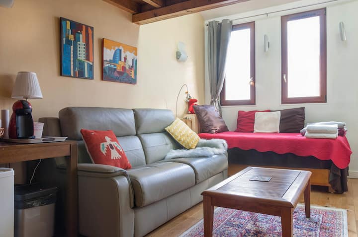 Grand Duplex Dans Maison De Charme, Centre Ville - Poissy