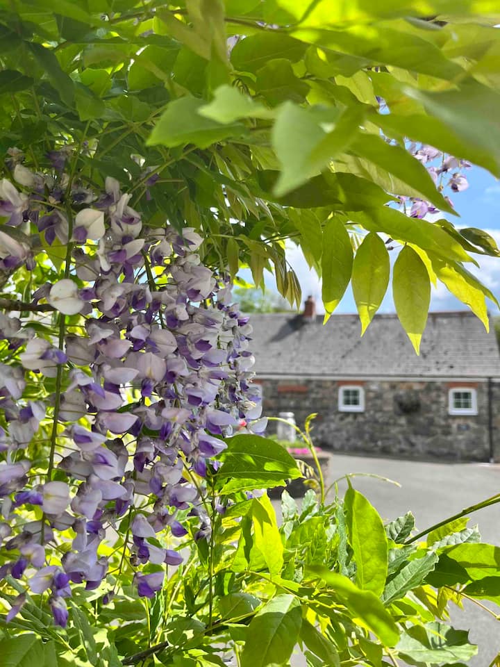 Perfect Central Base To Explore Pembrokeshire - Haverfordwest