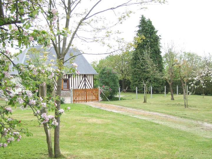 La Commère: Gîte Bénéficiant D'un Cadre Privilégié - Bernay