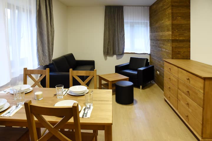 Apartmán Executive S Kuchyňským Koutem - Czechia