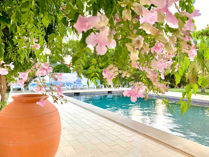 Pedra Mansa - Charming Holiday Home With Pool - Carvoeiro