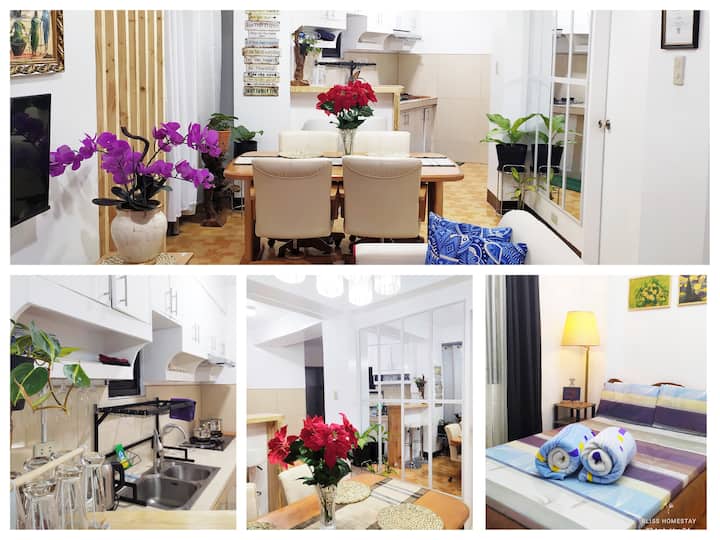 2br Place Near Wright Park (No Parking Space) - Baguio
