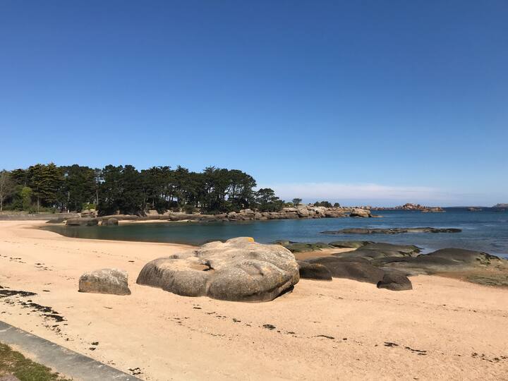 Appart Avec Jardin Pieds Ds L’eau Plage De Tourony - Trégastel