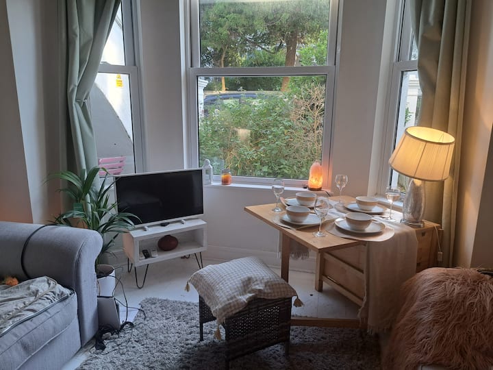 Southsea Beach, Shortstay Apartment, Professionals - Portsmouth
