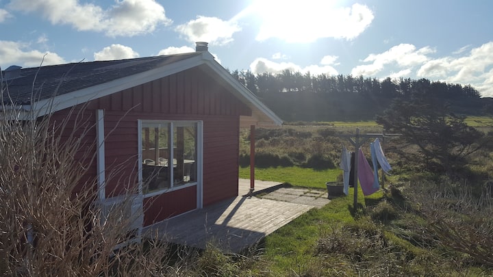 Sommerhus  Beliggende I Unik Natur 700 M Til Havet - Hirtshals