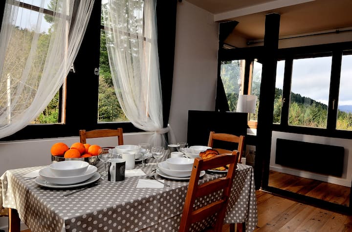 La Vancelle - Vue Magnifique/vosges - Bergheim, France