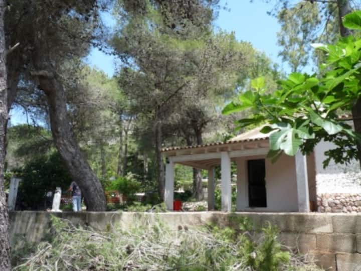Chalet Tranquilo En La Drova - Xeraco