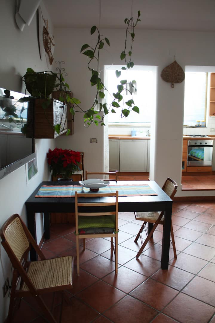 Monolocale Tranquillo Comodo Fao - Rooma