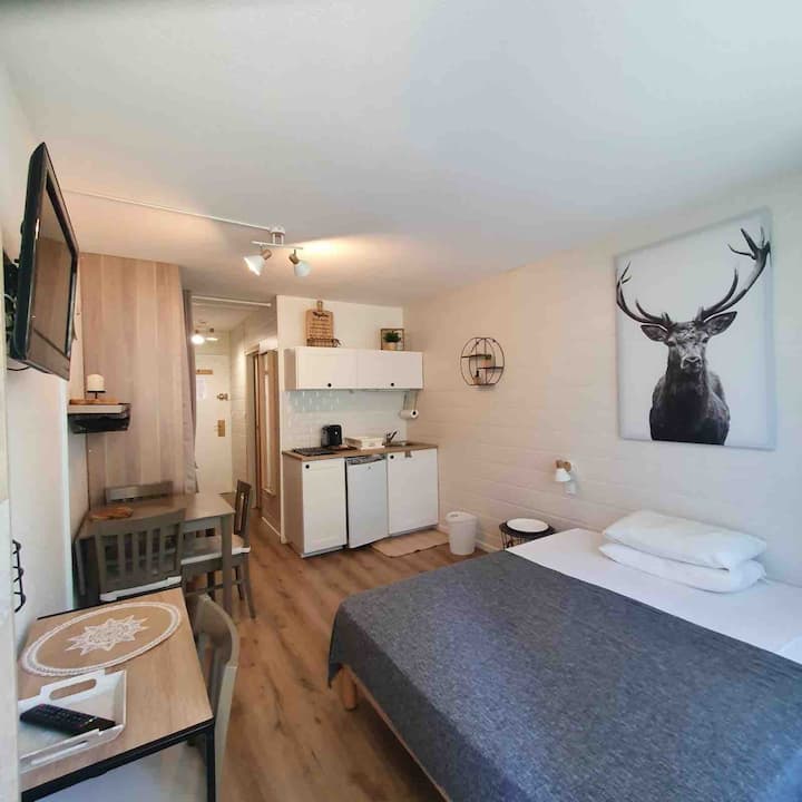 Appartement à Villard-de-lans Aux Pieds Des Pistes - Massif du Vercors